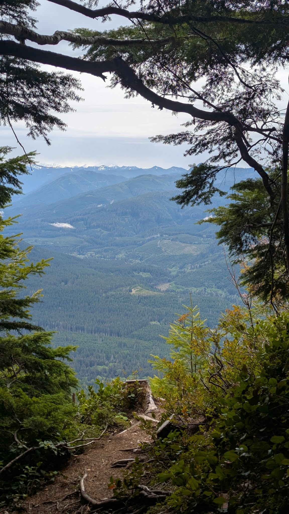 Mount Muller, Olympic National Forest, the Gospel. - Scott Gregson